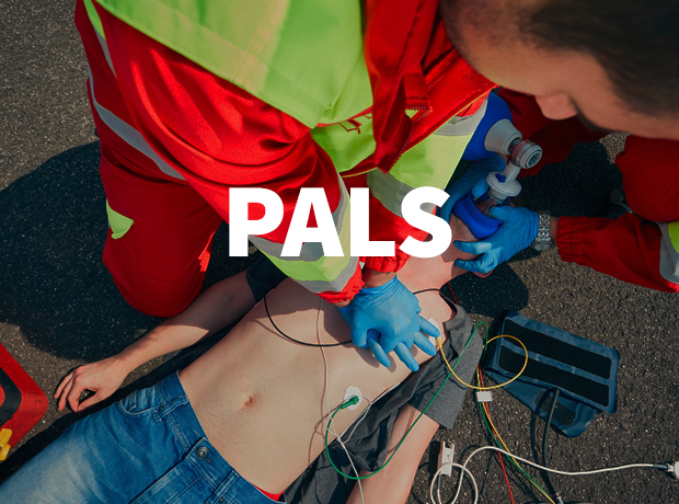 Pediatric Advanced Life Support | Premergency