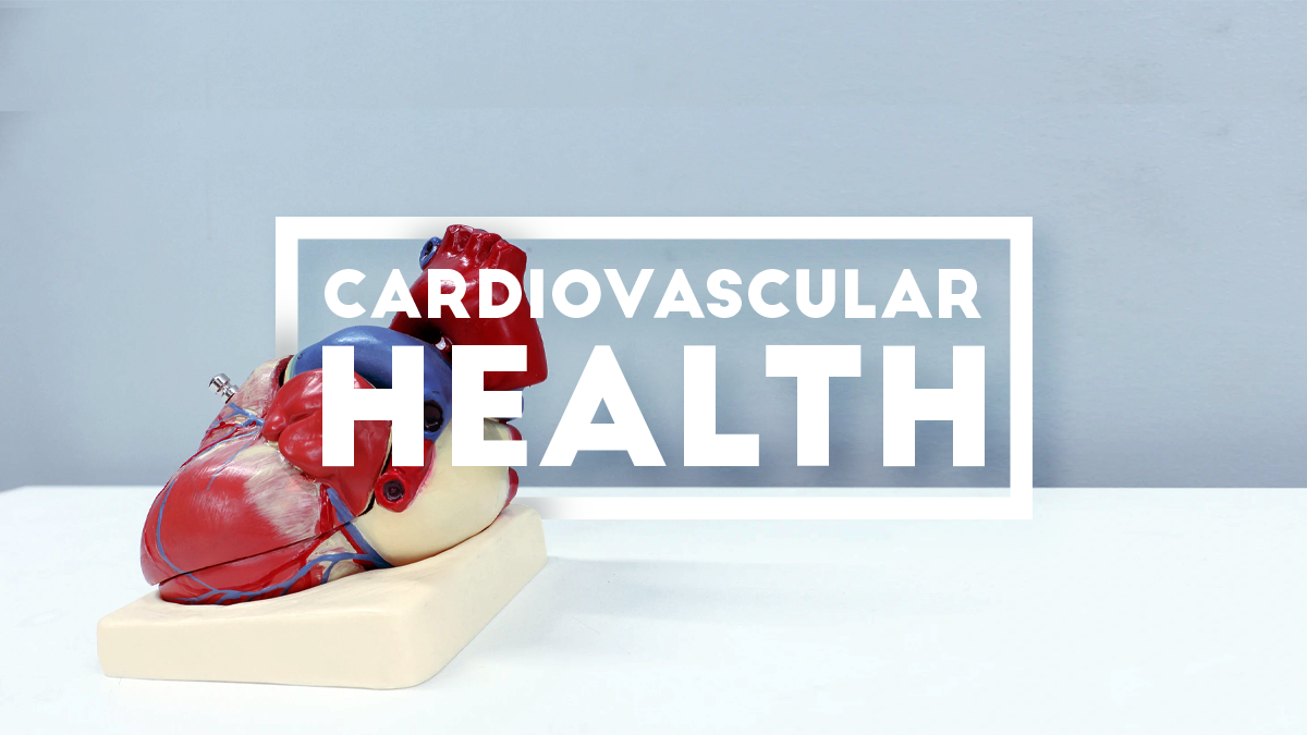 Cardiovascular Health: Keeping A Healthy Heart | Premergency